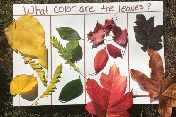 Connecting Math Concepts to the Outdoors for Preschool
