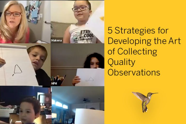 5 Strategies for Developing the Art of Collecting Quality Observations ...