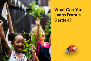 What Can You Learn From a Garden? - Teaching Strategies