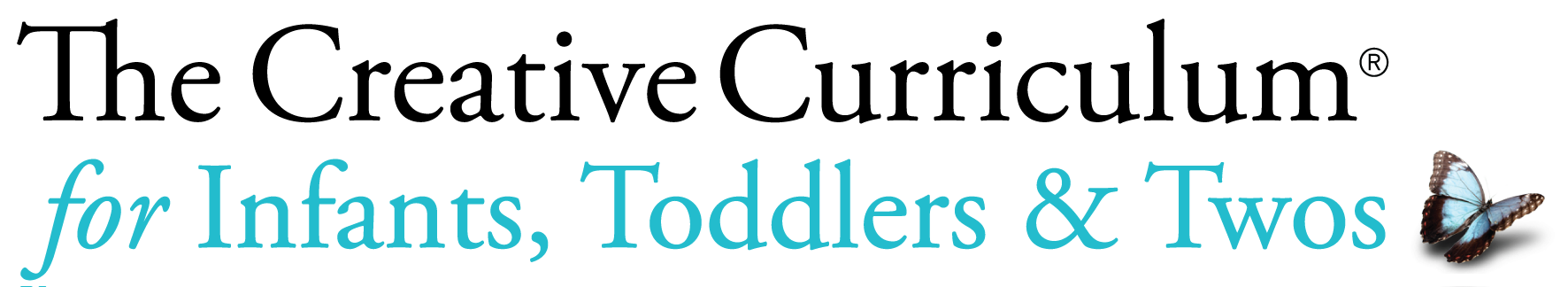 National - Creative Curriculum -Generic - Teaching Strategies