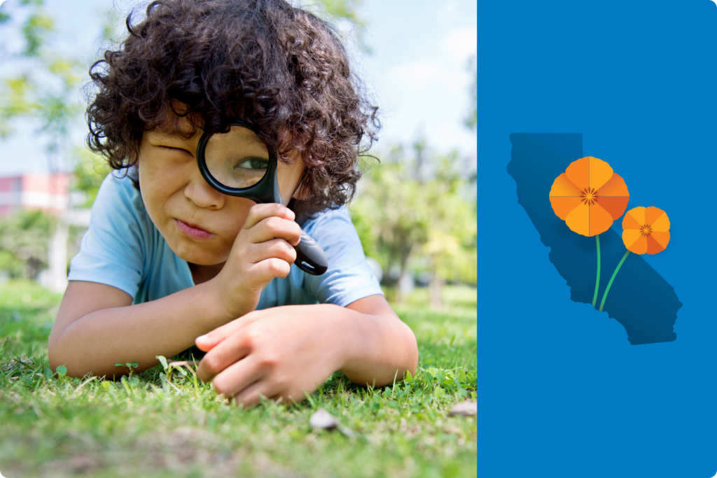 Teaching Requirements For Transitional Kindergarten In California 